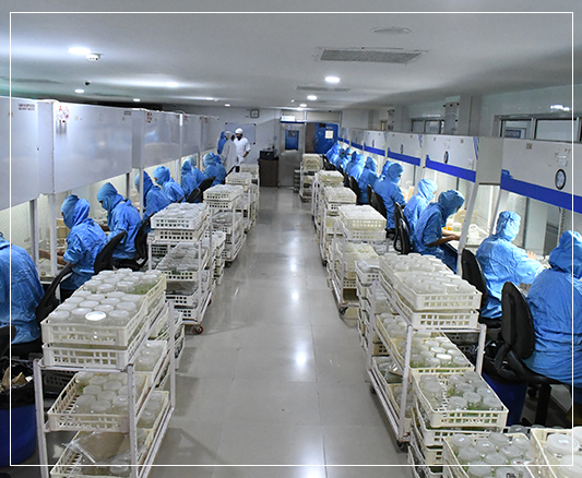 Home Page [www.abcagrobiotech.com]